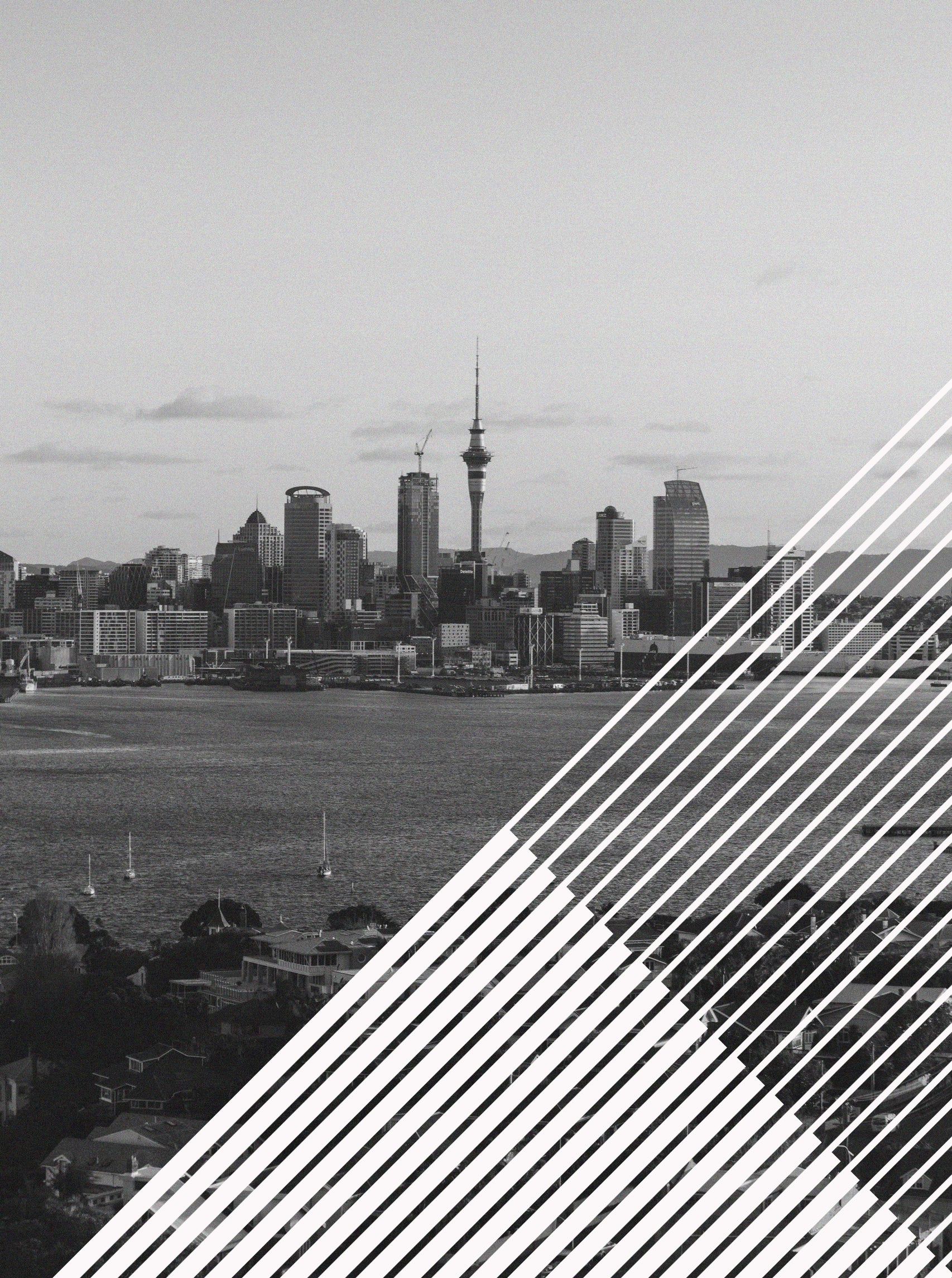 Auckland Football Club Shop – Auckland FC Shop